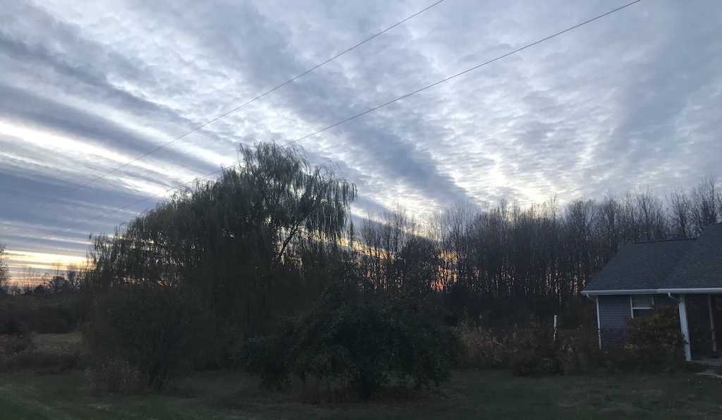 Finding the right ruler – Warren Bluhm