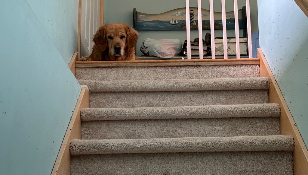 Stuck at the top of the stairs – Warren Bluhm